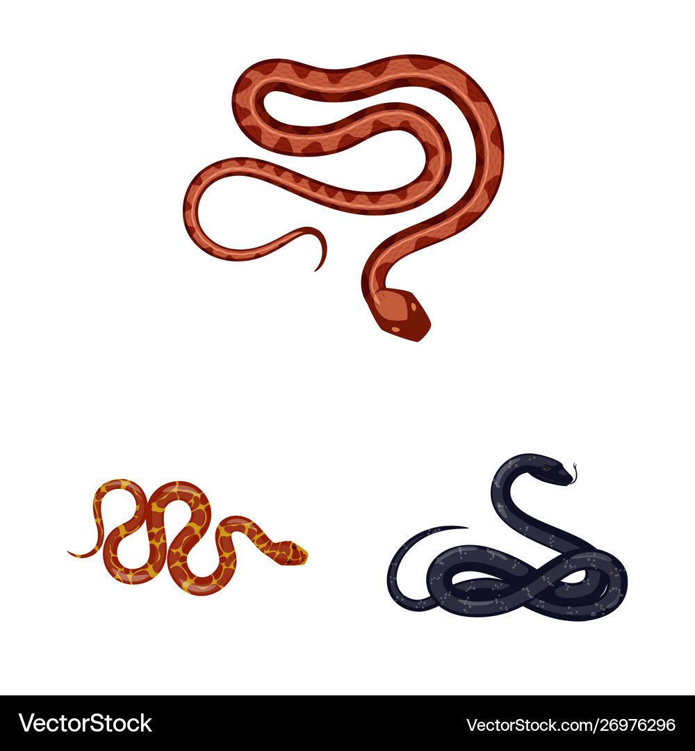 Design poison and evil sign collection Royalty Free Vector