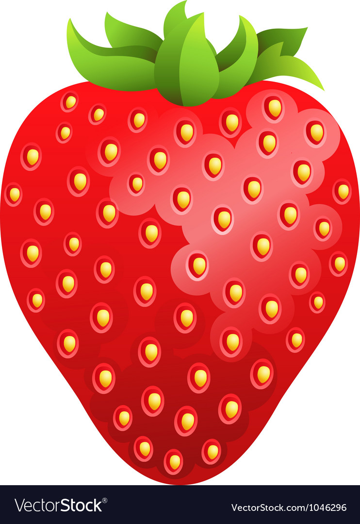 Strawberry Royalty Free Vector Image - VectorStock