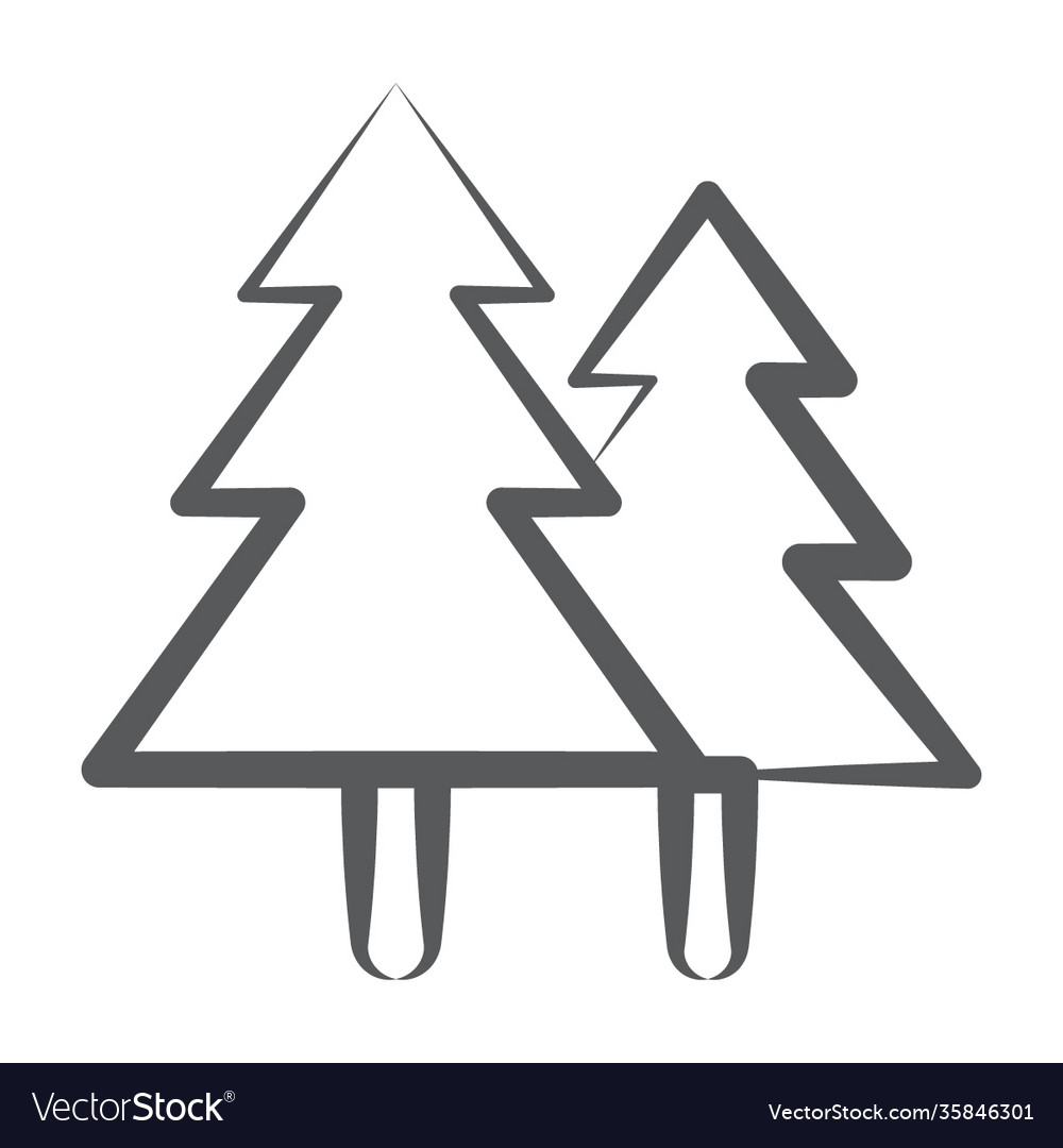Conifer trees Royalty Free Vector Image - VectorStock