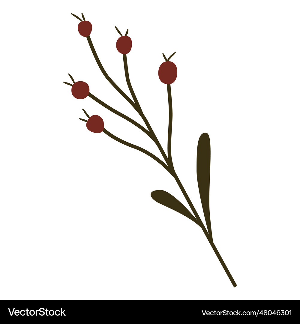 Cranberry branch leaf fruit flat Royalty Free Vector Image