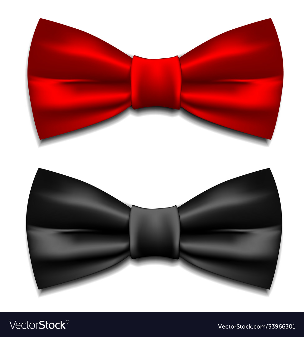 Two bow ties isolated on white background highly Vector Image