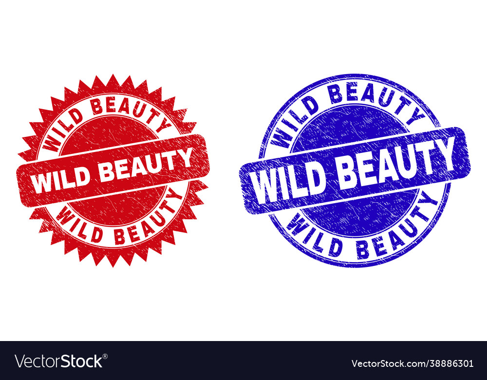 Wild beauty rounded and rosette seals with grunge Vector Image