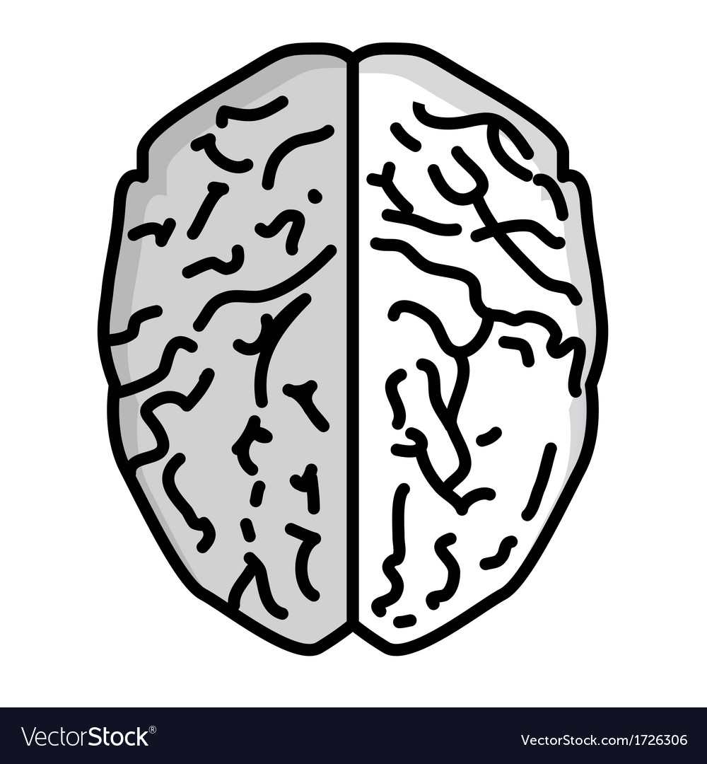 Brain 1 Royalty Free Vector Image - VectorStock