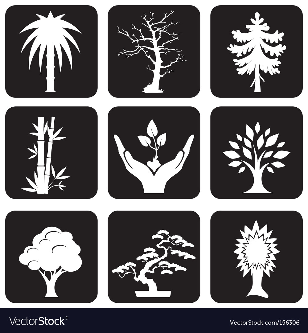 Icons trees Royalty Free Vector Image - VectorStock