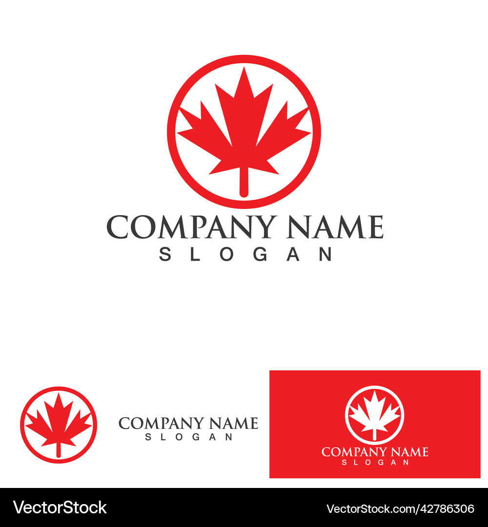 Maple leaf logo design template Royalty Free Vector Image