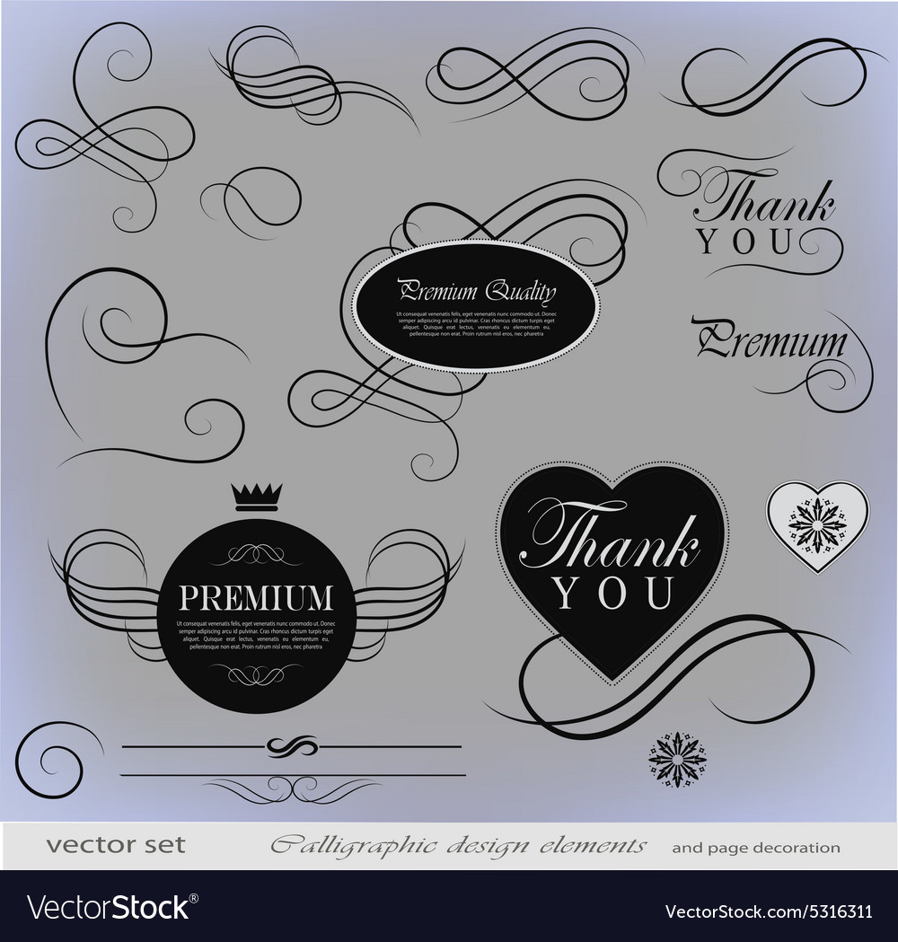 Calligraphic design elements Royalty Free Vector Image