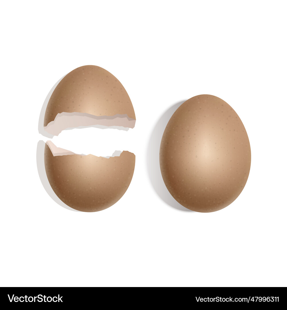 Set of whole egg and eggshell realistic brown Vector Image