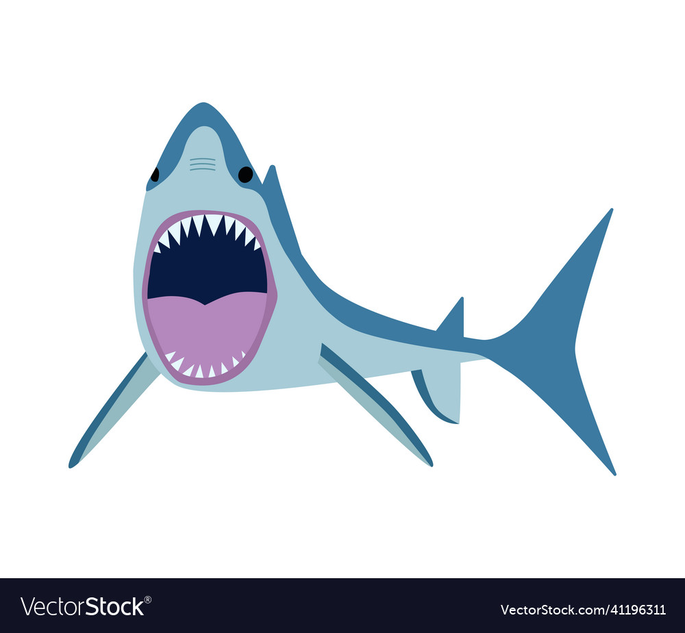 Shark flat Royalty Free Vector Image - VectorStock