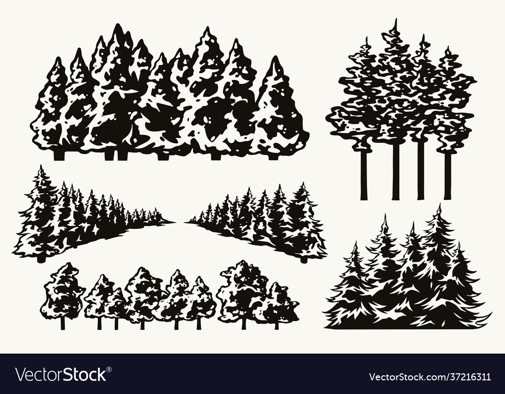 Vintage concept forest trees Royalty Free Vector Image