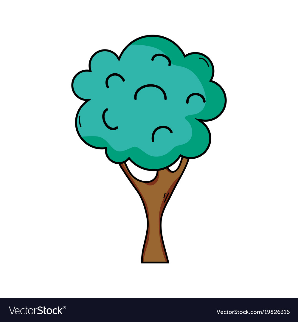 Nature tree with trunk and branch design Vector Image