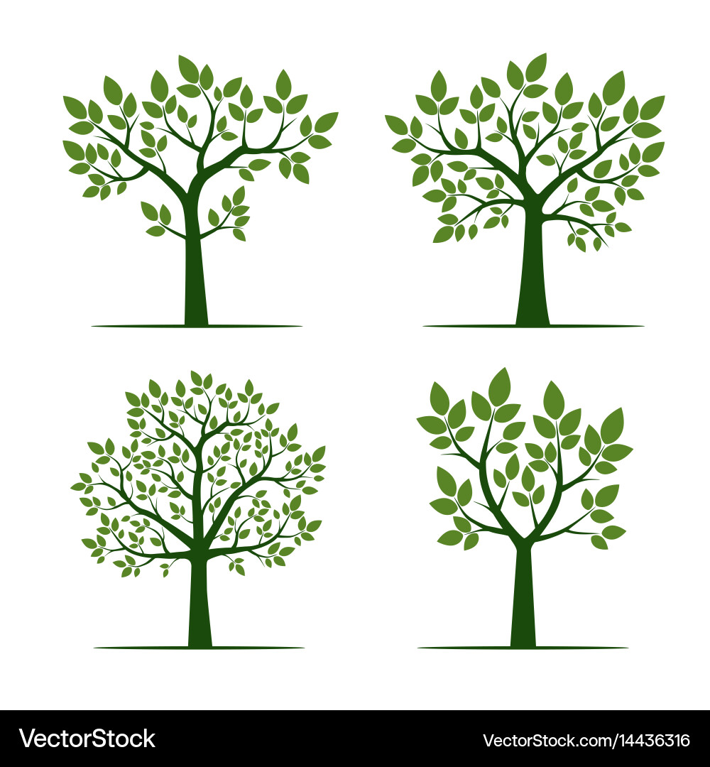Set of green trees with leaf Royalty Free Vector Image