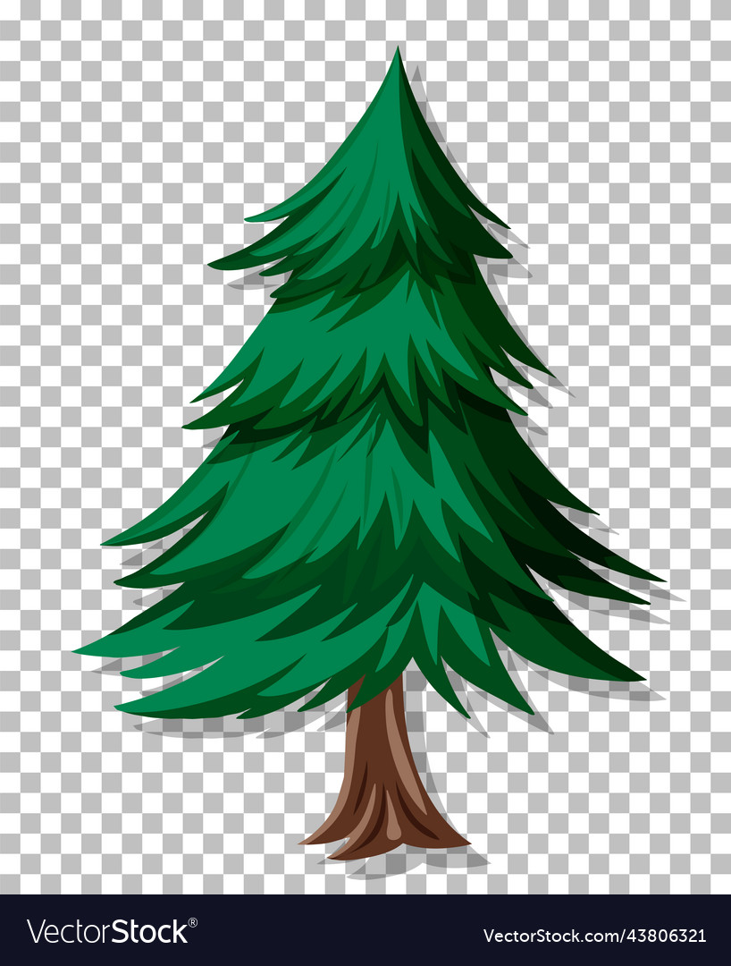 A pine tree on grid background Royalty Free Vector Image