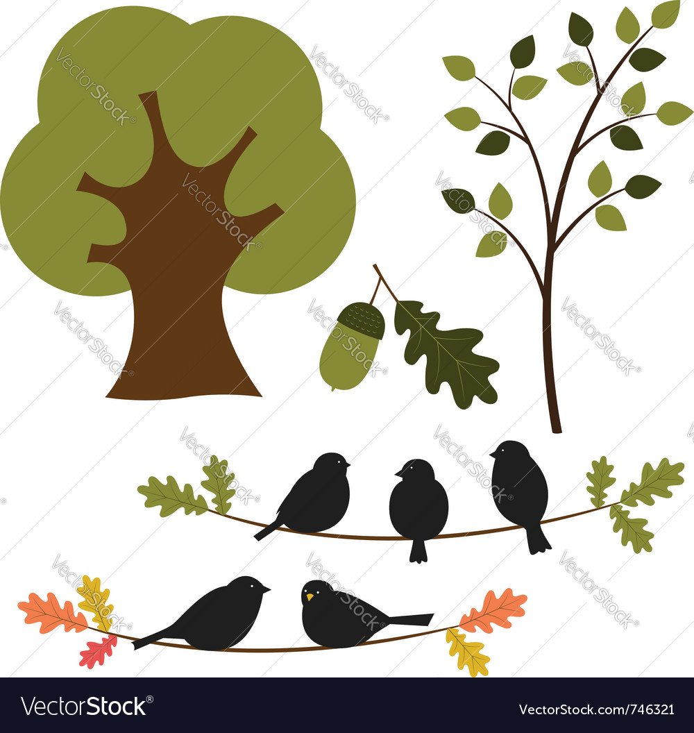 Trees and birds Royalty Free Vector Image - VectorStock