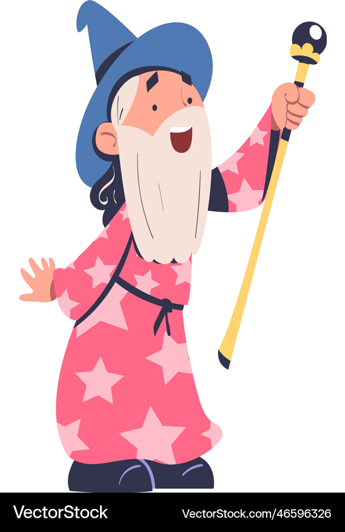 Bearded wizard in pointed hat as fairytale Vector Image