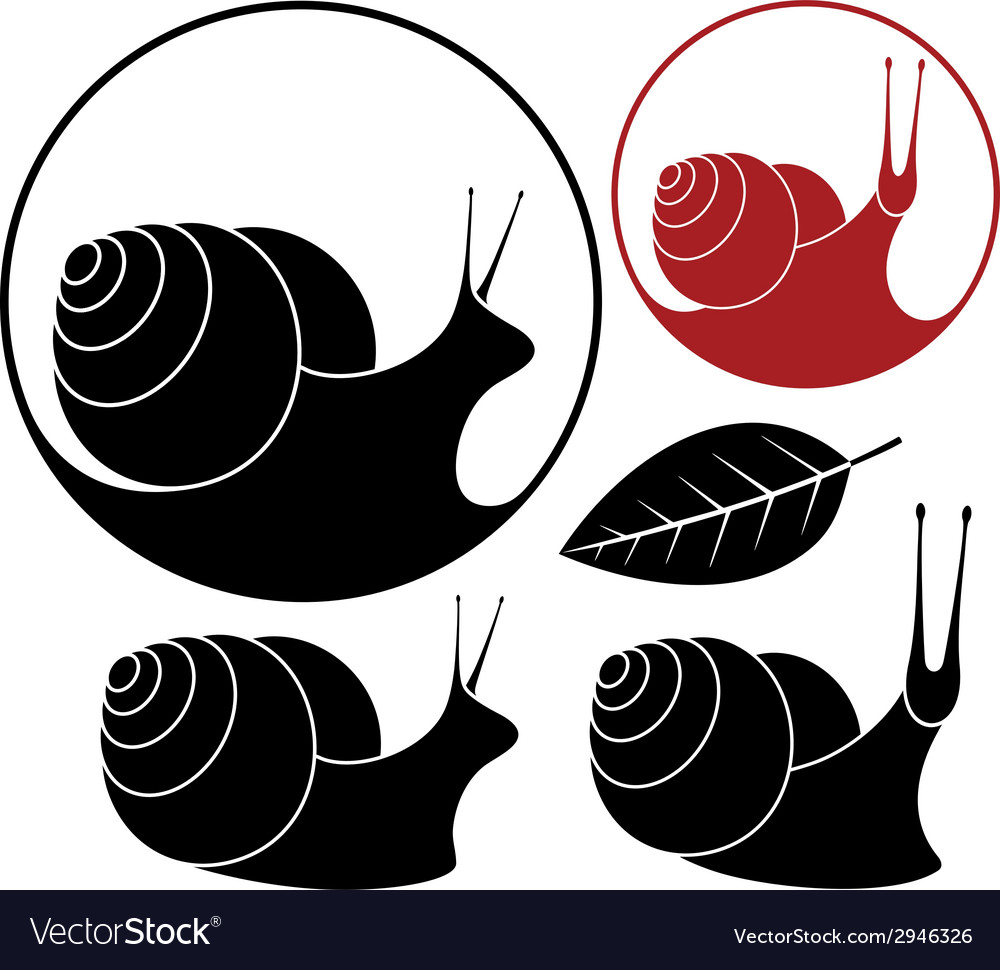 Snail Royalty Free Vector Image - VectorStock