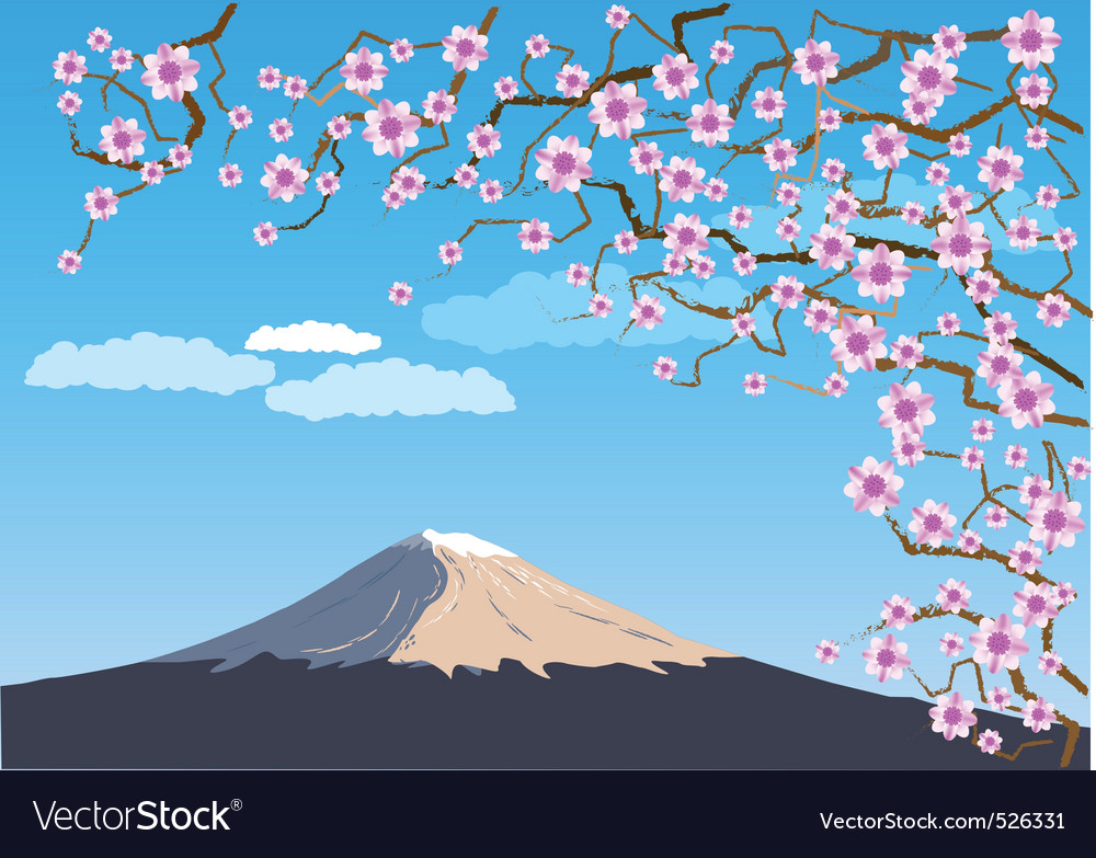 Fuji Royalty Free Vector Image - VectorStock