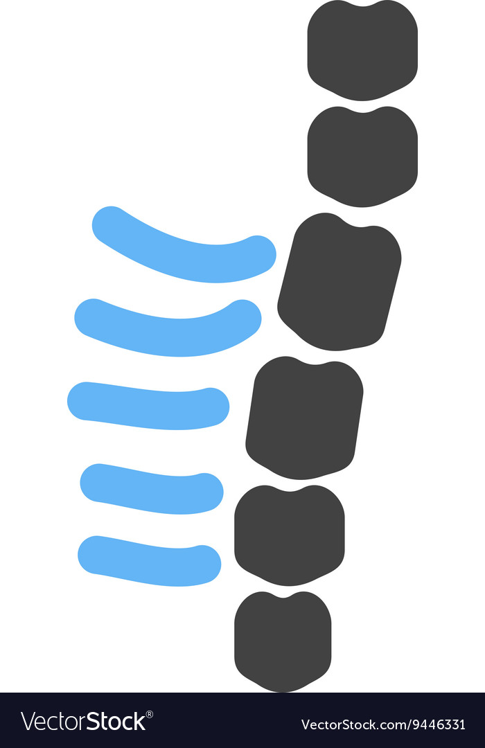 Spine Royalty Free Vector Image - VectorStock
