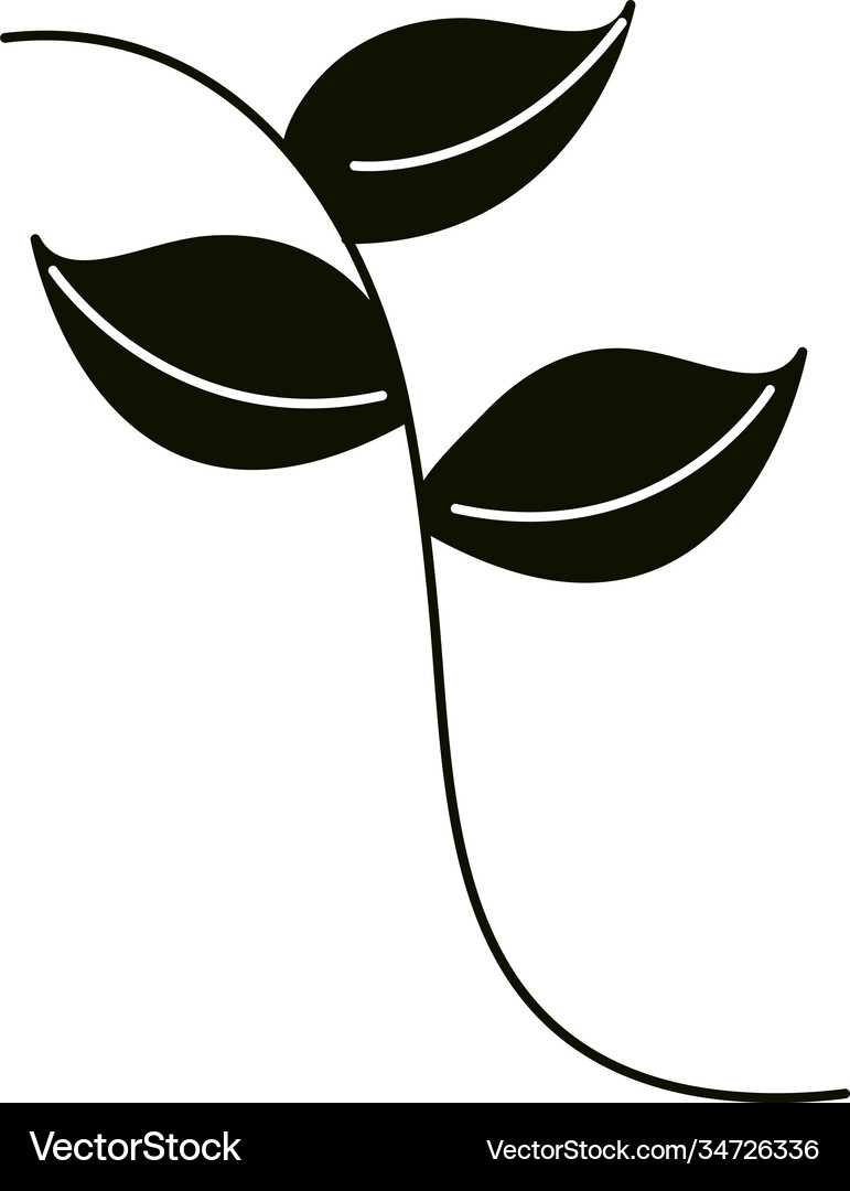 Leaves silhouette icon style stem nature Vector Image