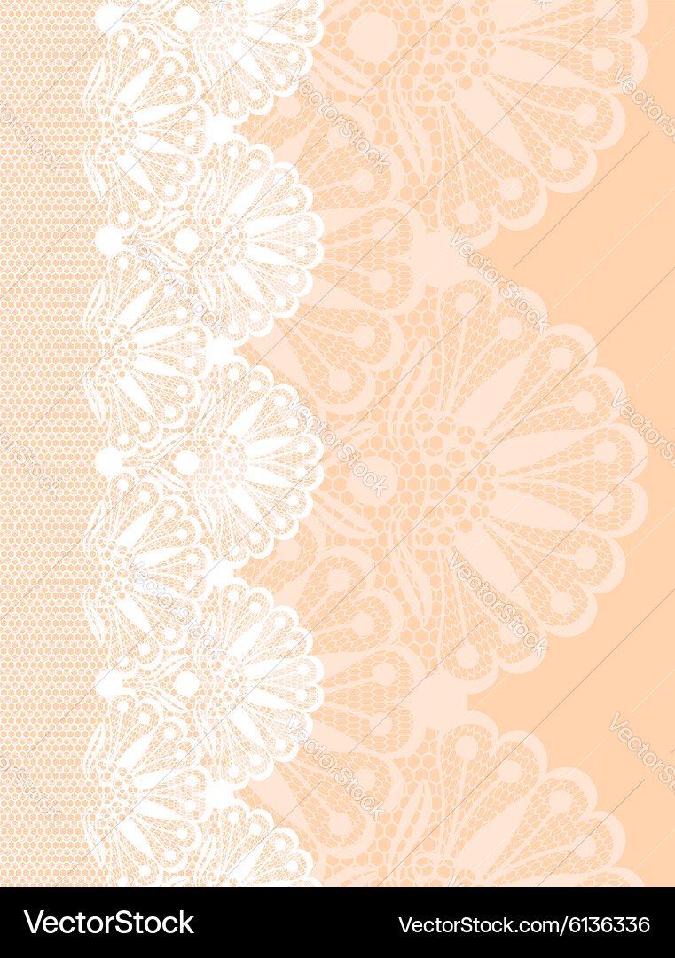 White flower lace border on beige background Vector Image