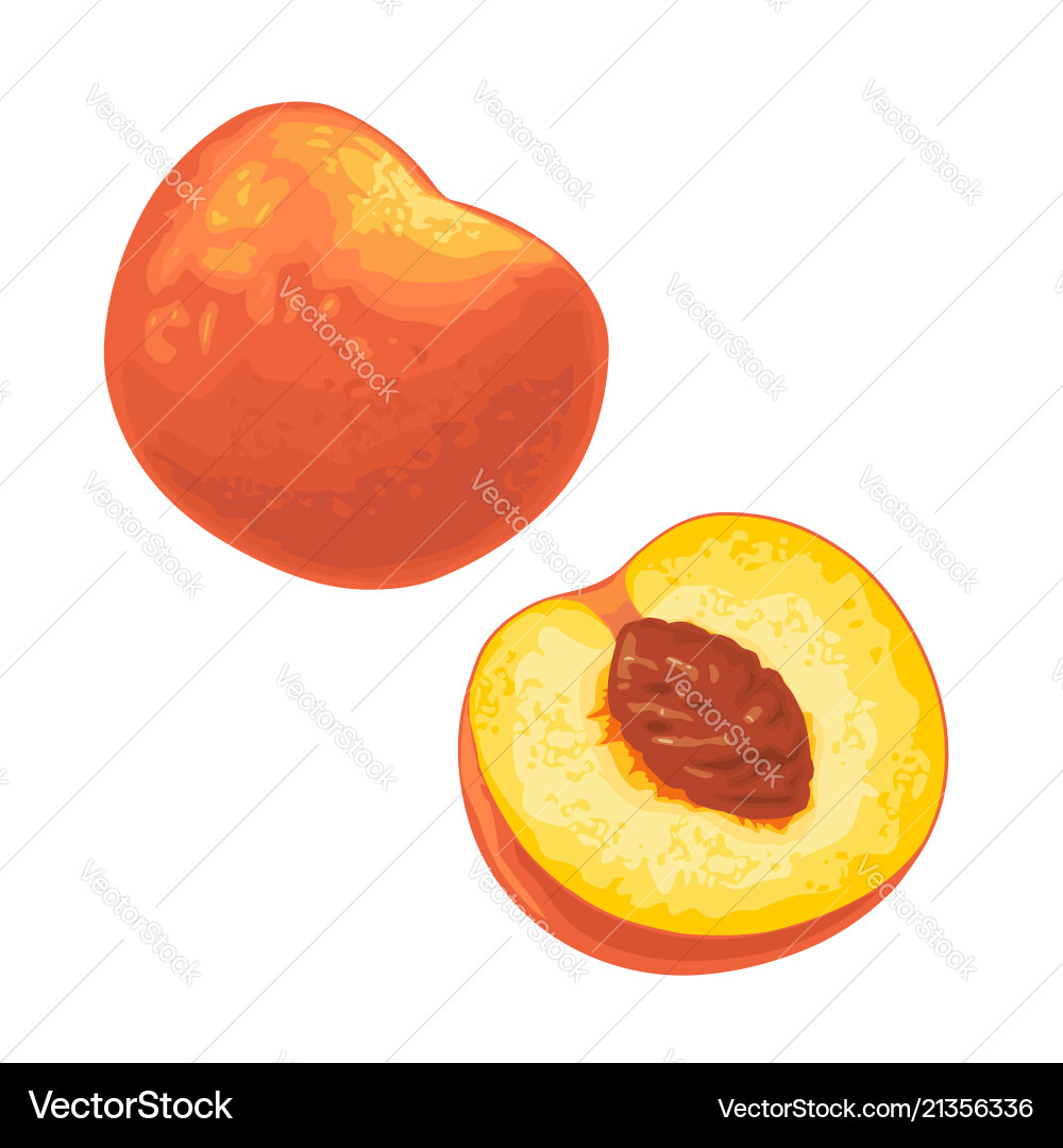 Whole and half peach with seed flat color Vector Image
