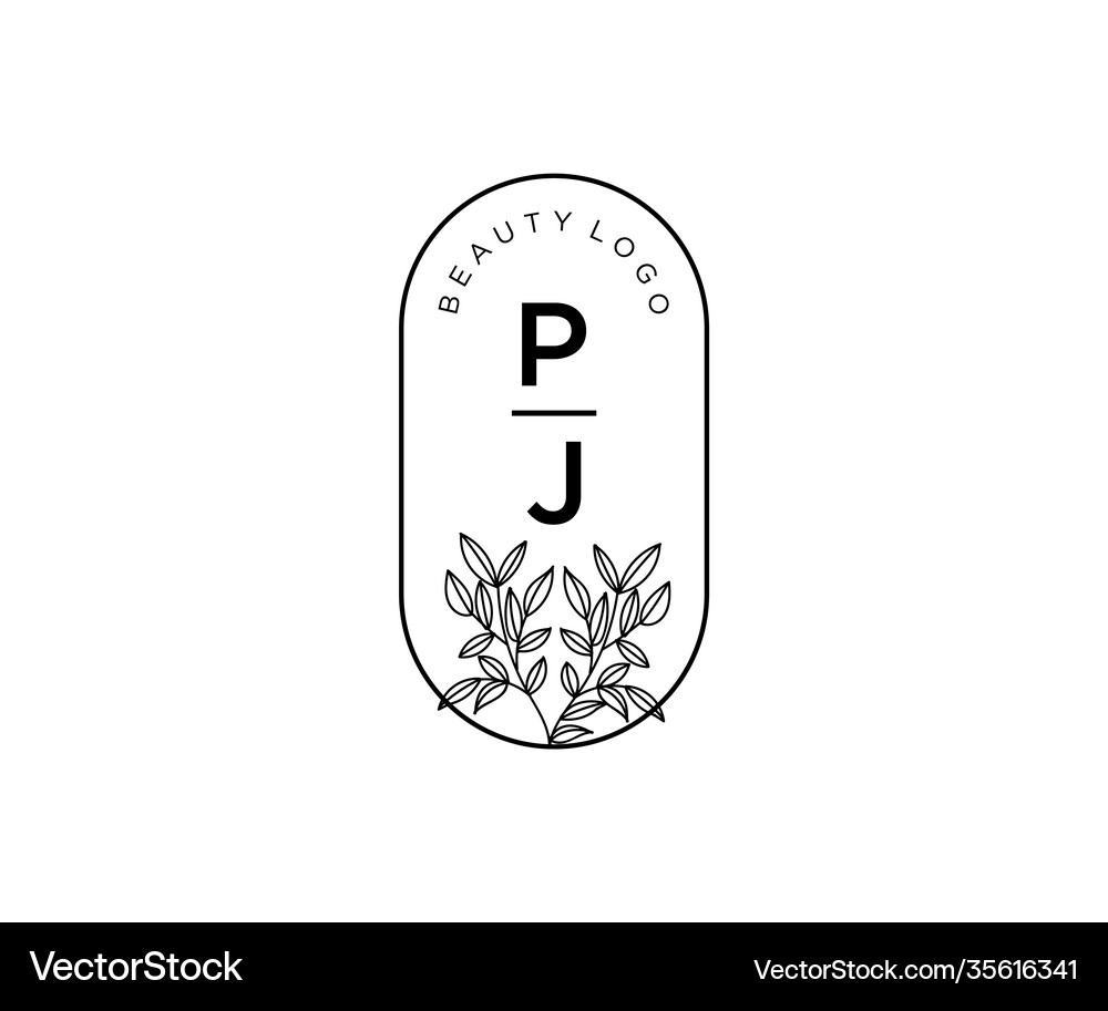 Initial pj letters beautiful floral feminine Vector Image