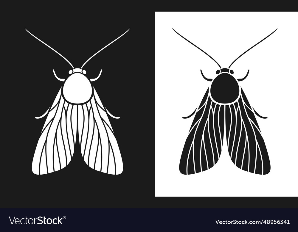 Moth Royalty Free Vector Image - VectorStock
