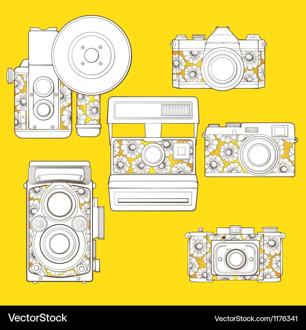 Vintage photo cameras set with floral pattern Vector Image