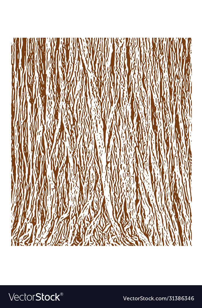 Trunk texture Royalty Free Vector Image - VectorStock