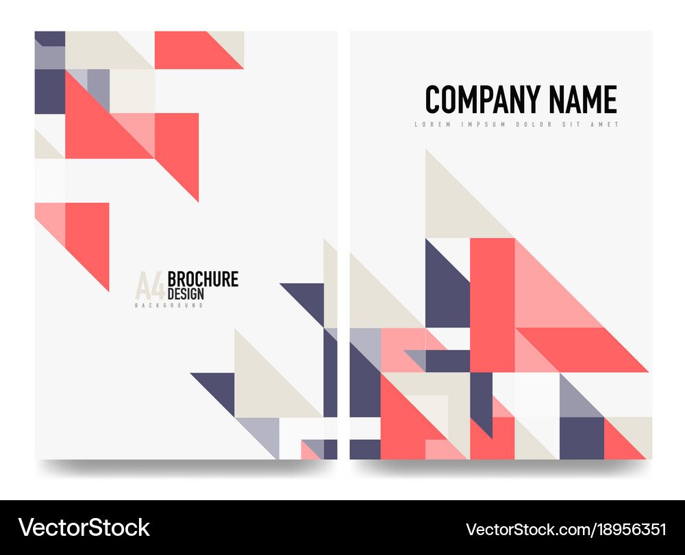 Business brochure cover layout flyer a4 template Vector Image