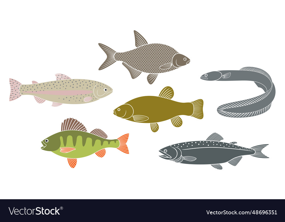 Perch Royalty Free Vector Image - VectorStock