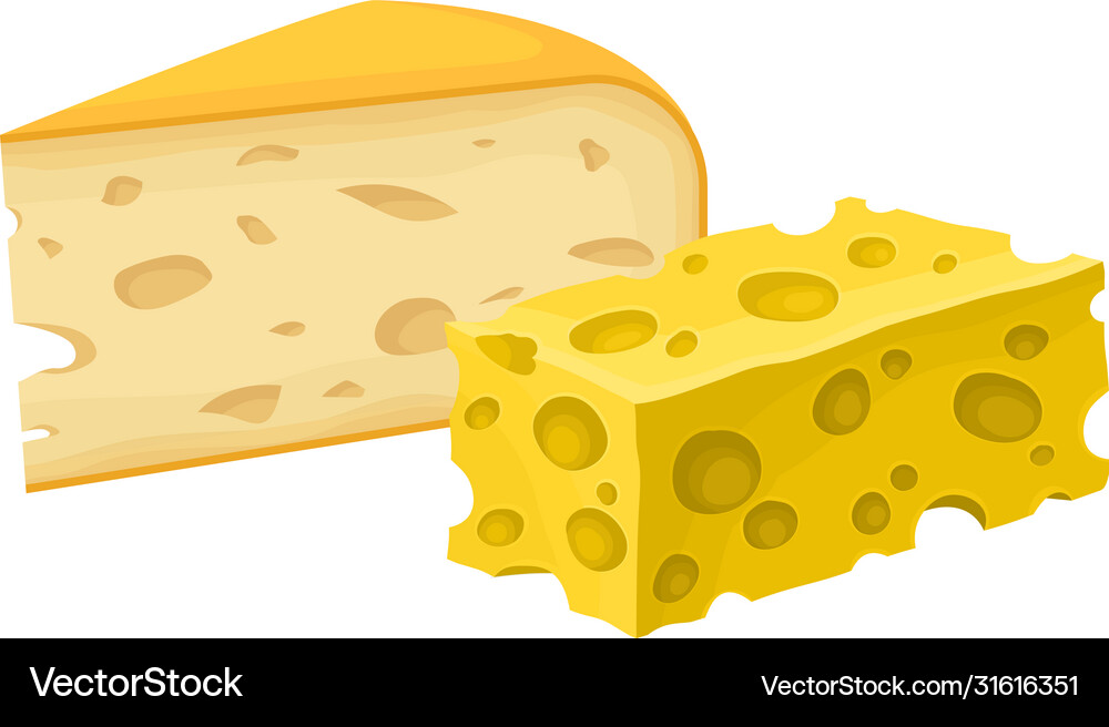 Slab cheese with holes isolated on white Vector Image