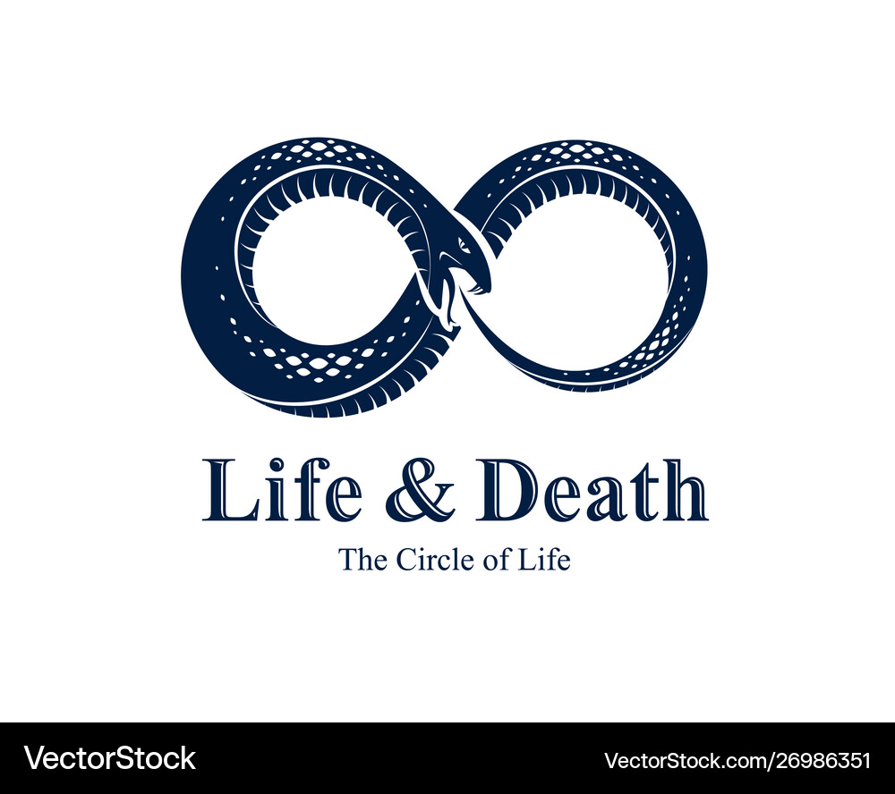 Snake eating its own tale uroboros Royalty Free Vector Image