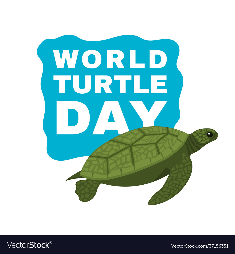 World turtle day in may international event Vector Image