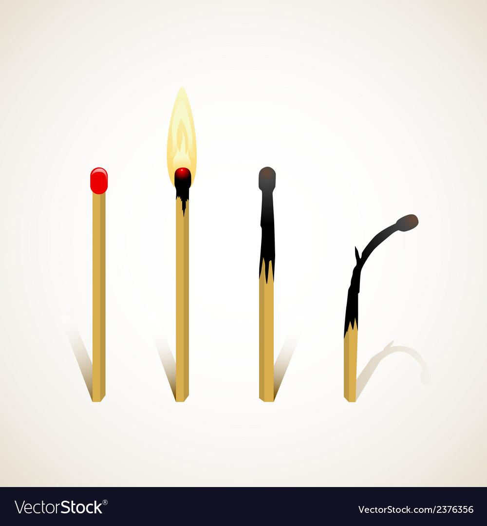 Lifetime Royalty Free Vector Image - VectorStock