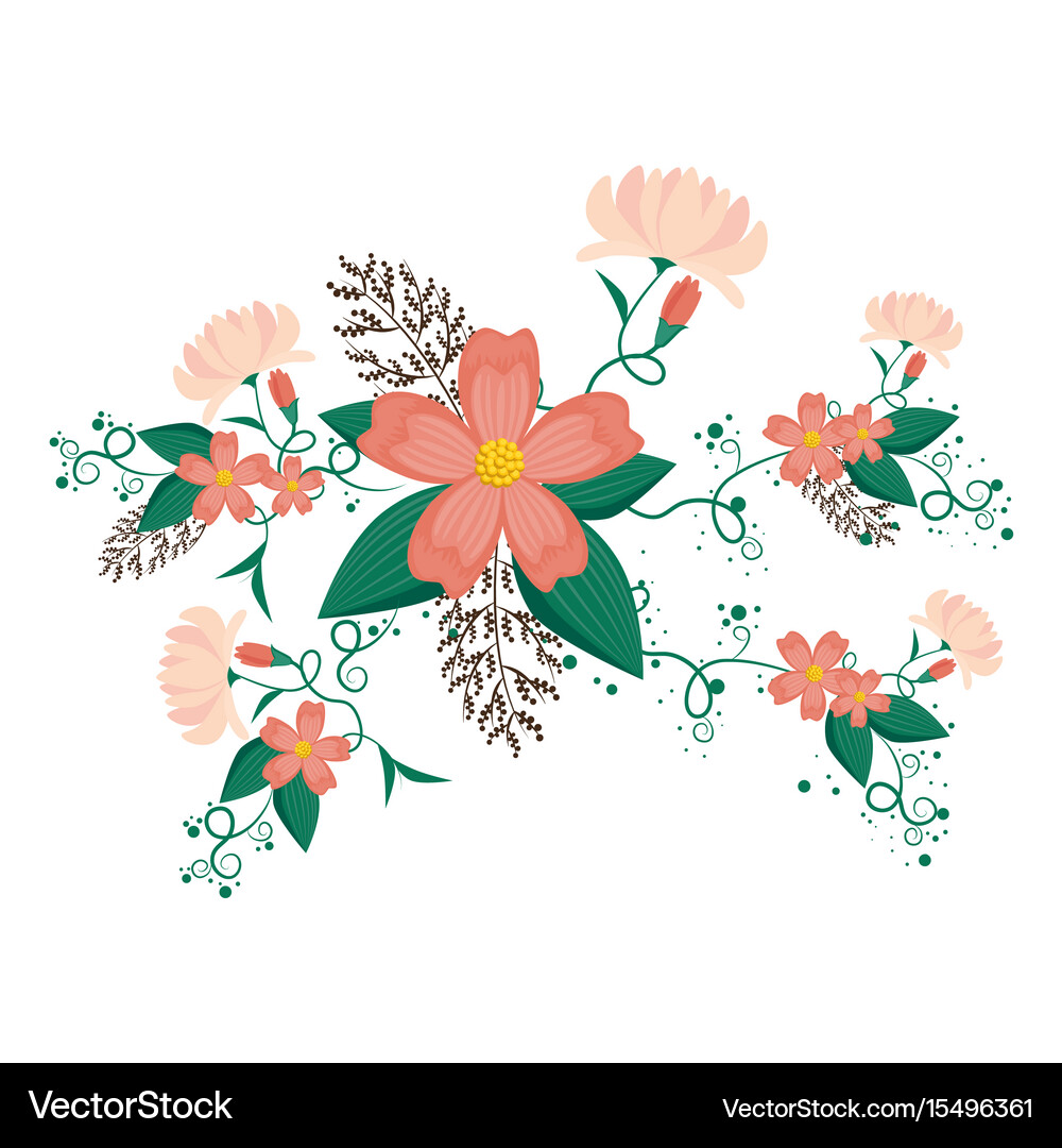 Beautiful colorful flowers design Royalty Free Vector Image