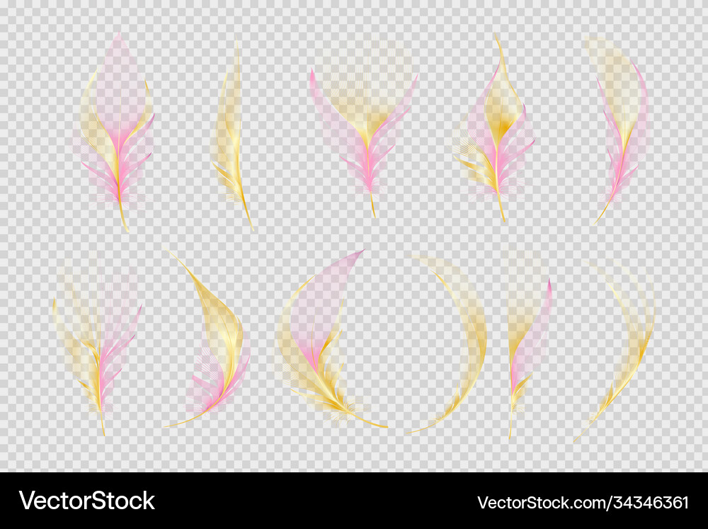 Gold feathers collection falling fluffy Royalty Free Vector