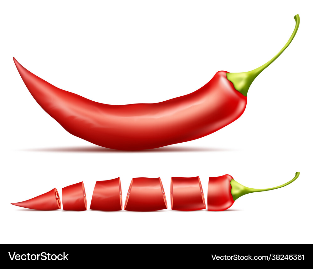 Realistic red pod hot chili pepper Royalty Free Vector Image