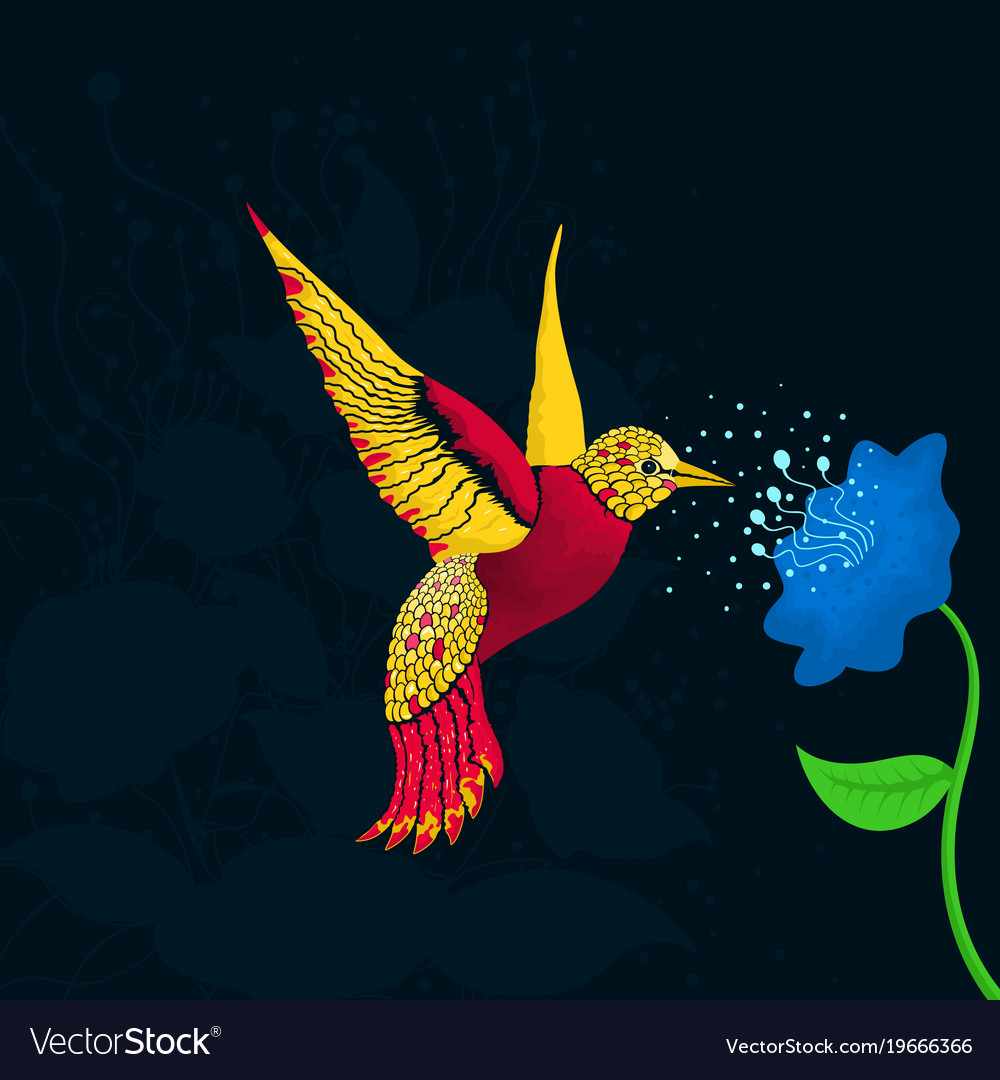 Colibri Royalty Free Vector Image - VectorStock