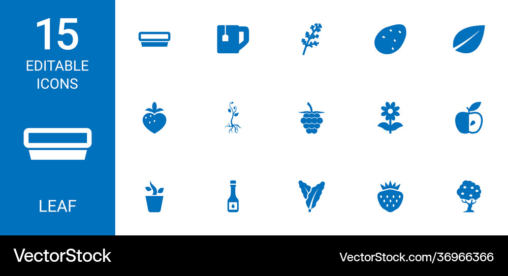 Leaf icons Royalty Free Vector Image - VectorStock
