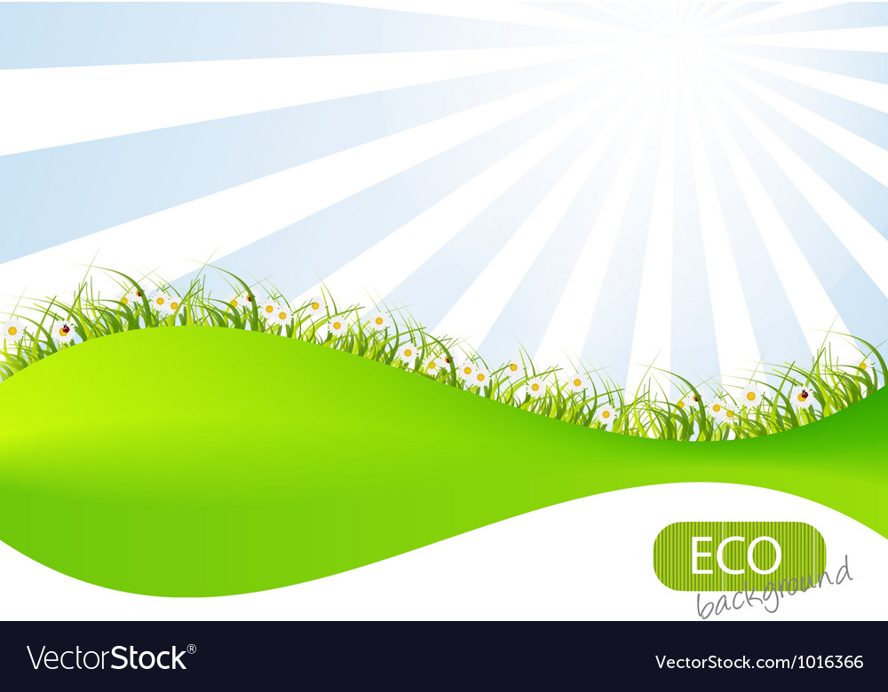 Spring green background grass and flower Vector Image
