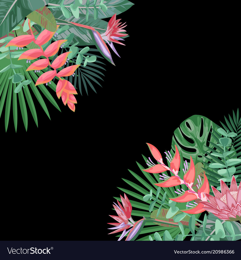 Tropical flower angular background Royalty Free Vector Image