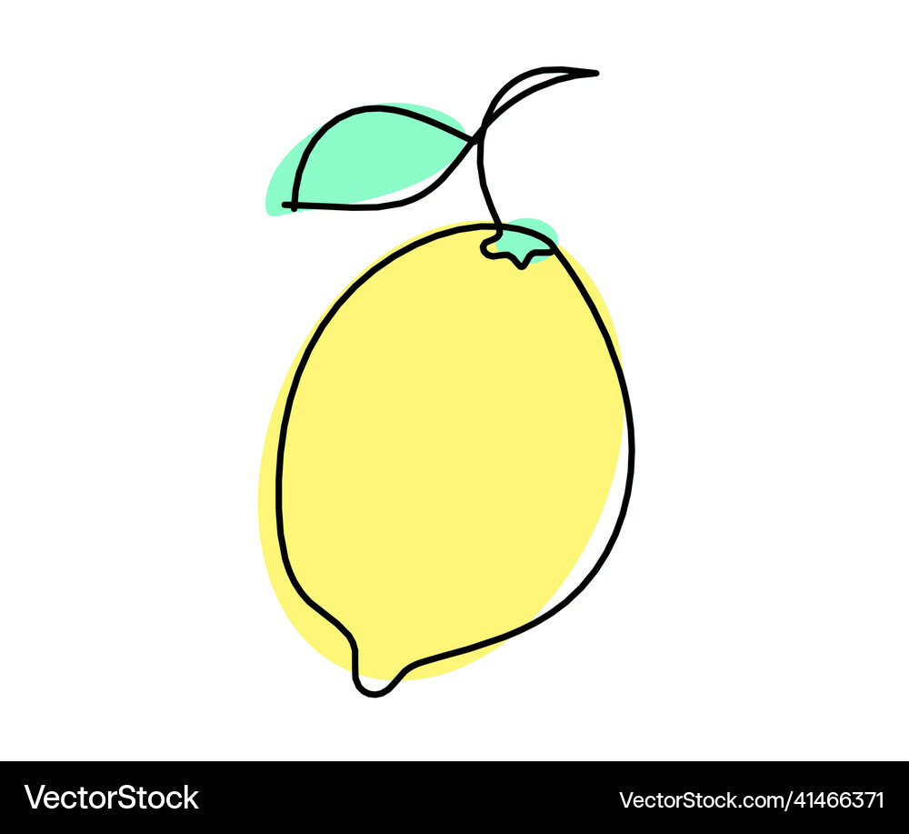 Color drawing line lemon on the white background Vector Image