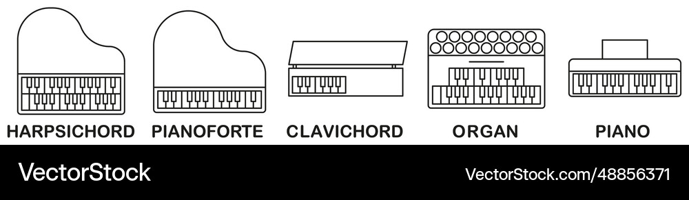 Set of keyboard musical instruments Royalty Free Vector