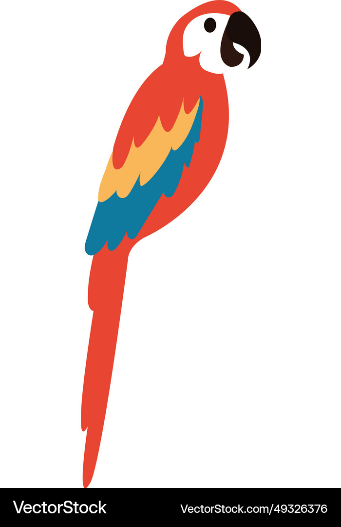 Isolated cute colored parrot cartoon character Vector Image