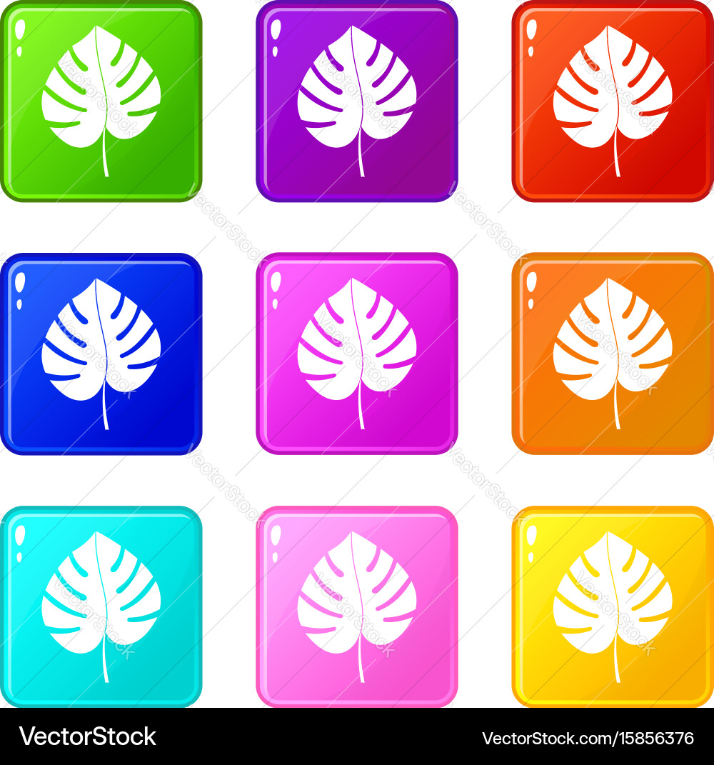 Leaf of monstera icons 9 set Royalty Free Vector Image