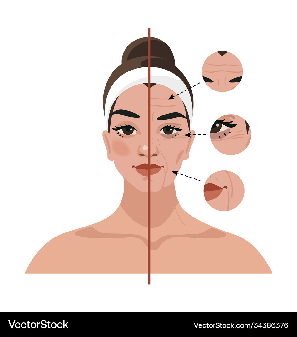 Portrait a young woman and age-related changes Vector Image