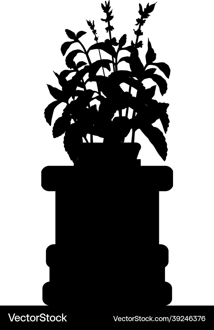 Silhouette indian traditional holy basil pot Vector Image