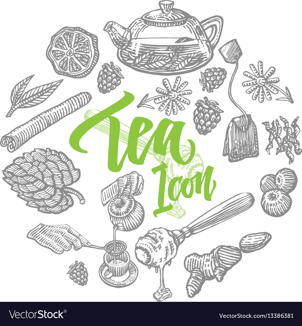 Hand drawn tea elements set Royalty Free Vector Image