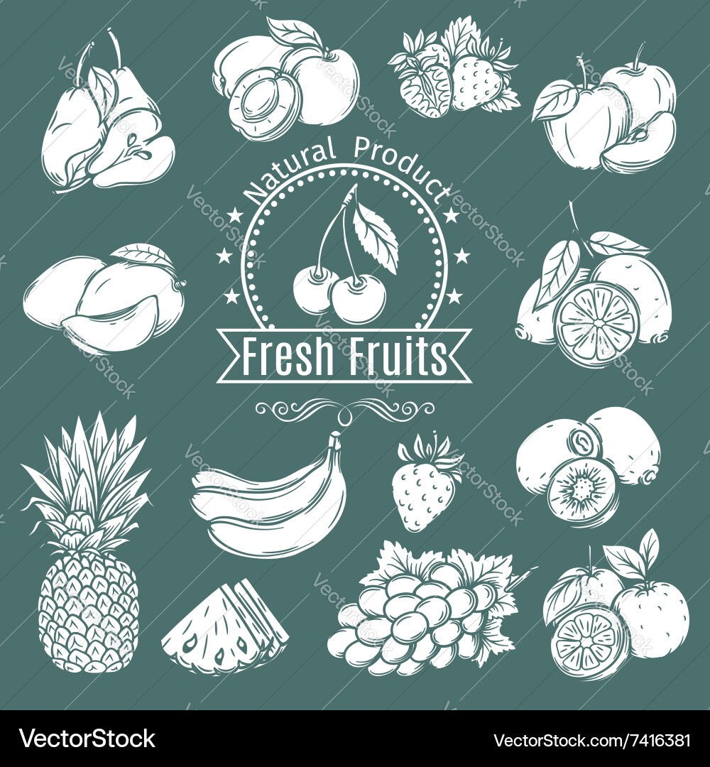 Set decorative fruits and berries Royalty Free Vector Image