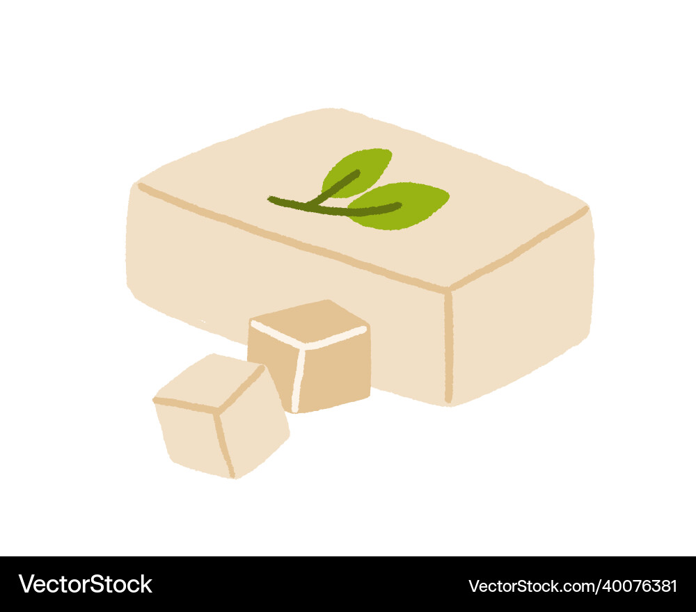 Tofu block and its cut cube pieces whole bar Vector Image